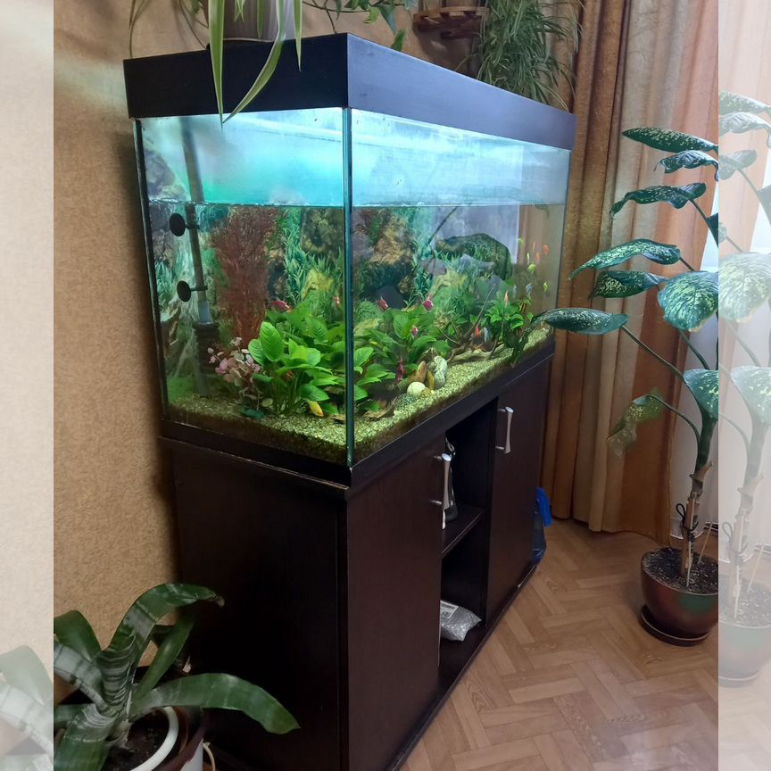 Аквариум с тумбой 220 литров