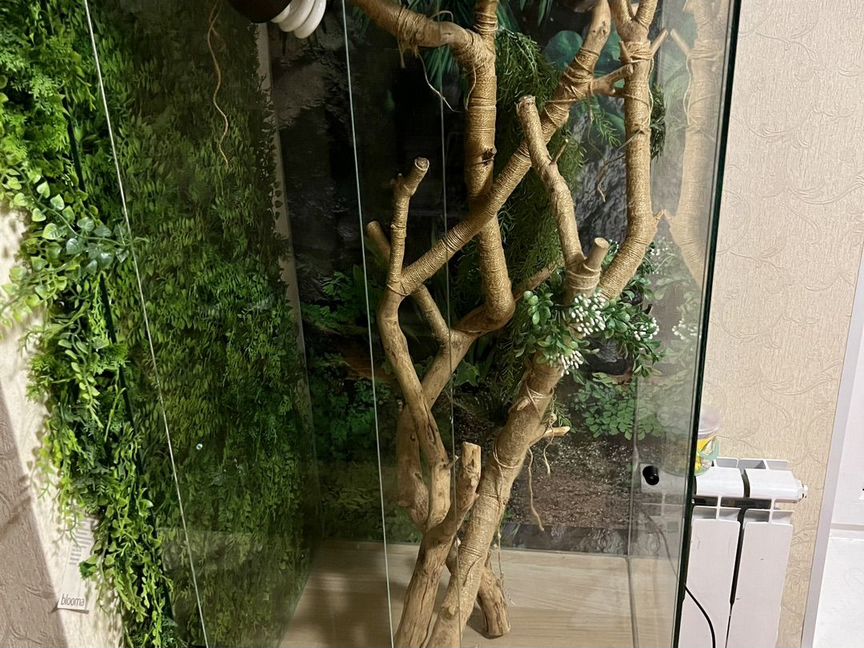 Террариум 50*50*100