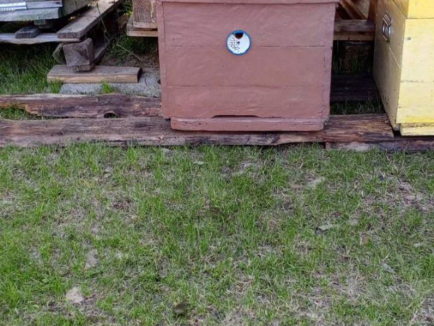 Ульи для пчел бу