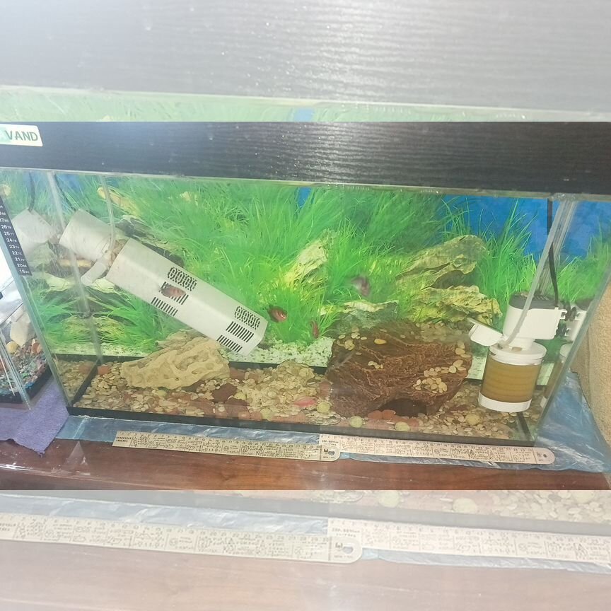 Аквариум бу с рыбками