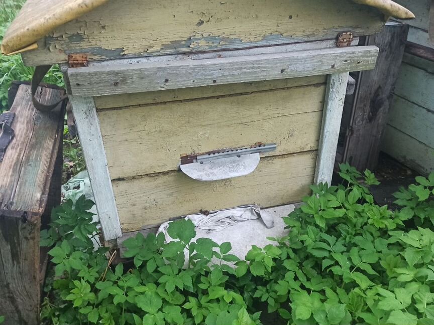 Ульи для пчел