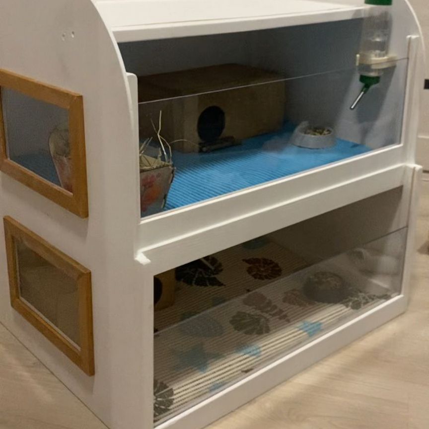 Домик для морской свинки