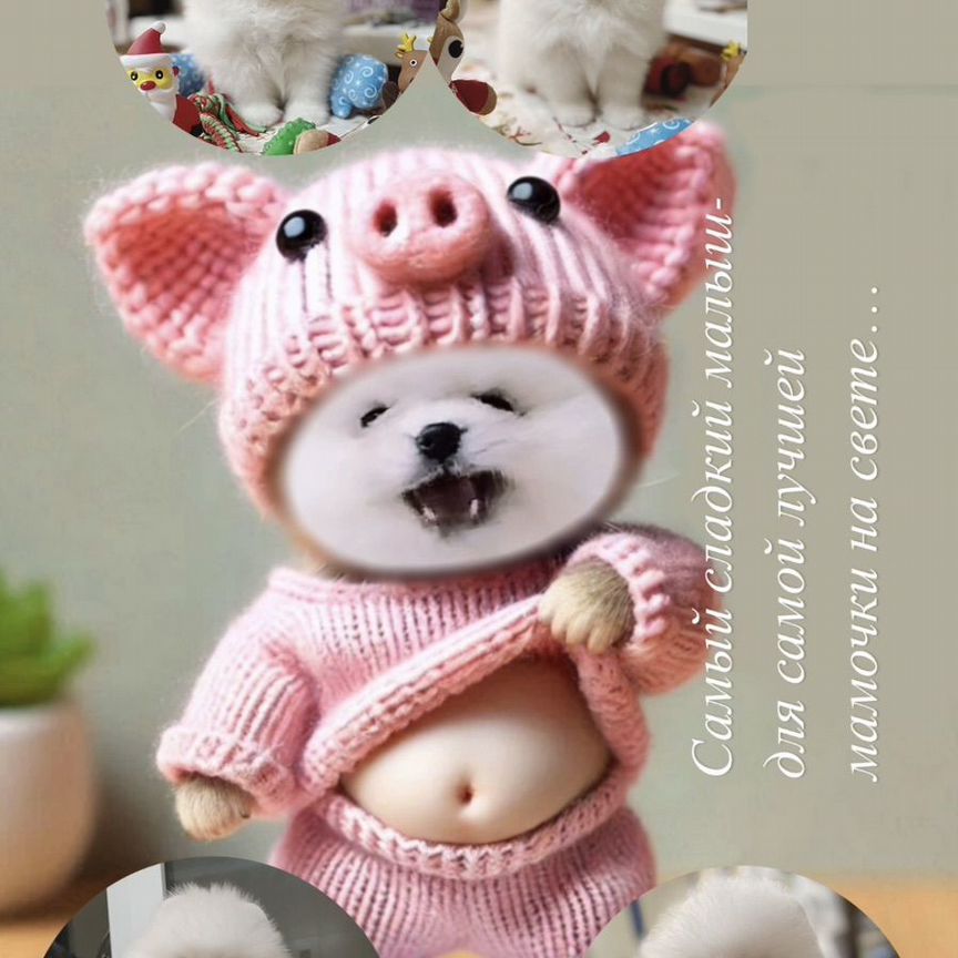 Мишка мальчишка