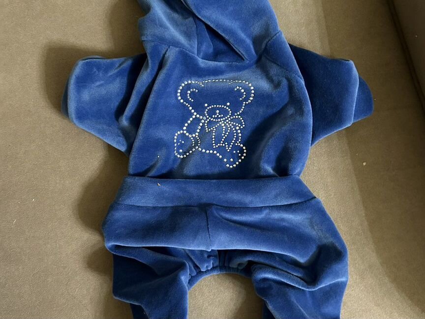 Одежда для собак