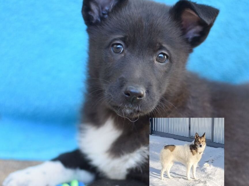 Деловой малыш, 2 мес