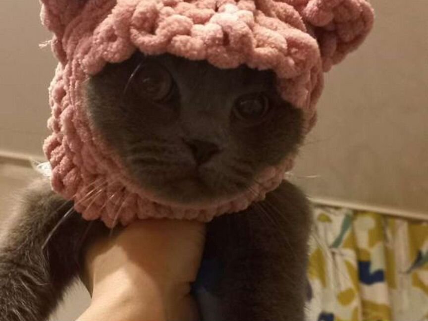 Шапочка овечка, мишка