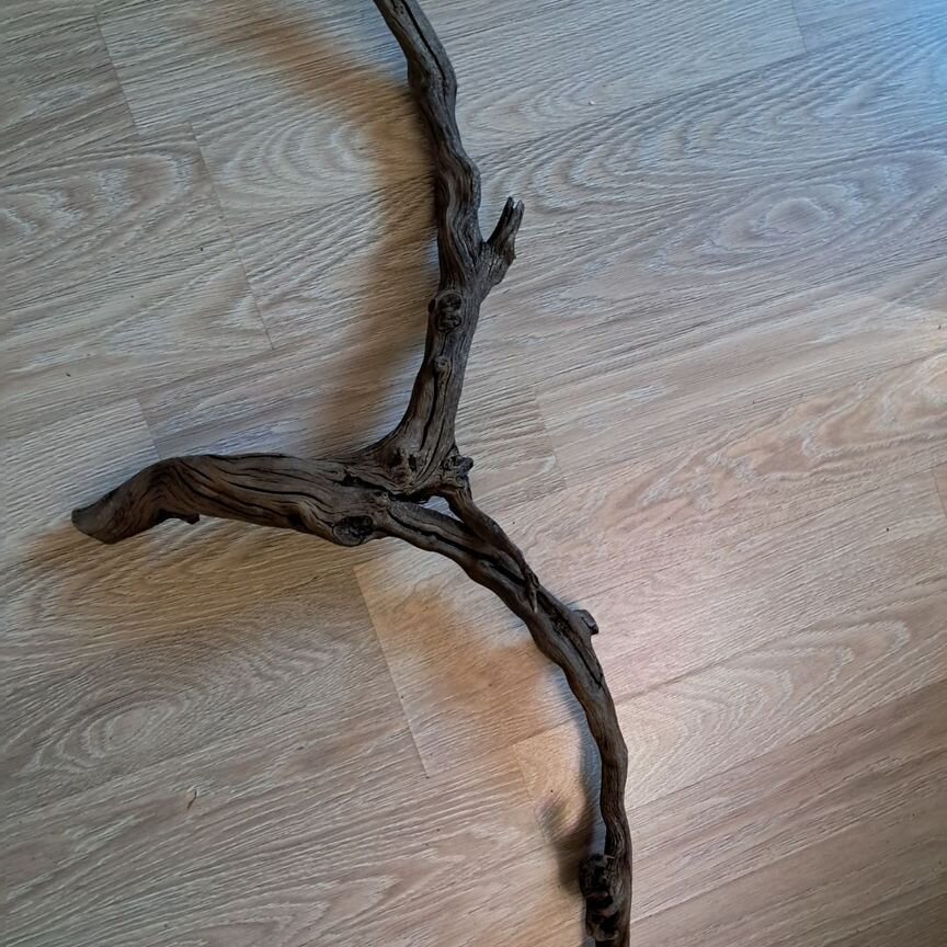 Большая коряга в аквариум