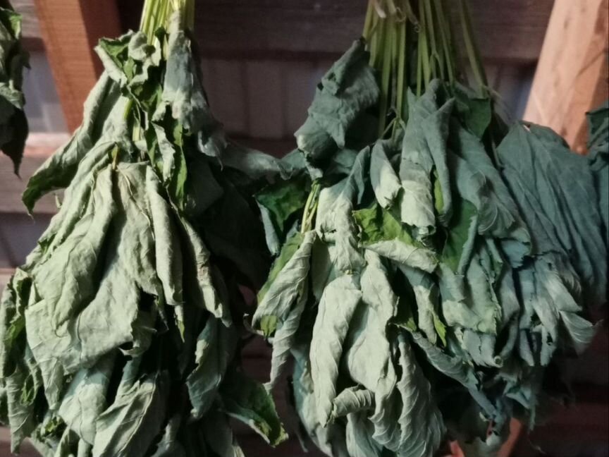 Свежее сено и травы для домашних животных