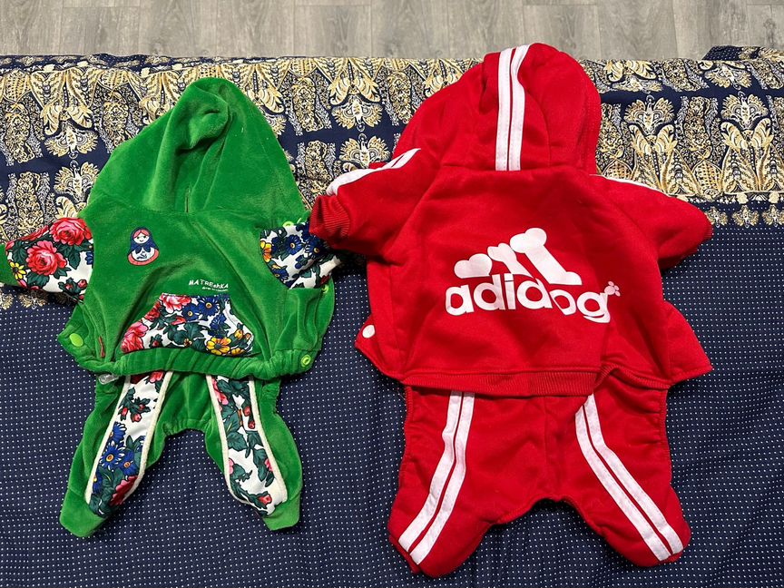 Вещи на той-терьера