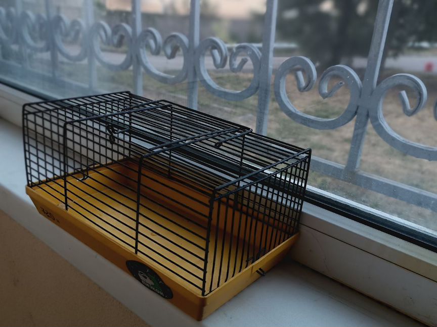 Клетка для грызунов+ Корм в подарок