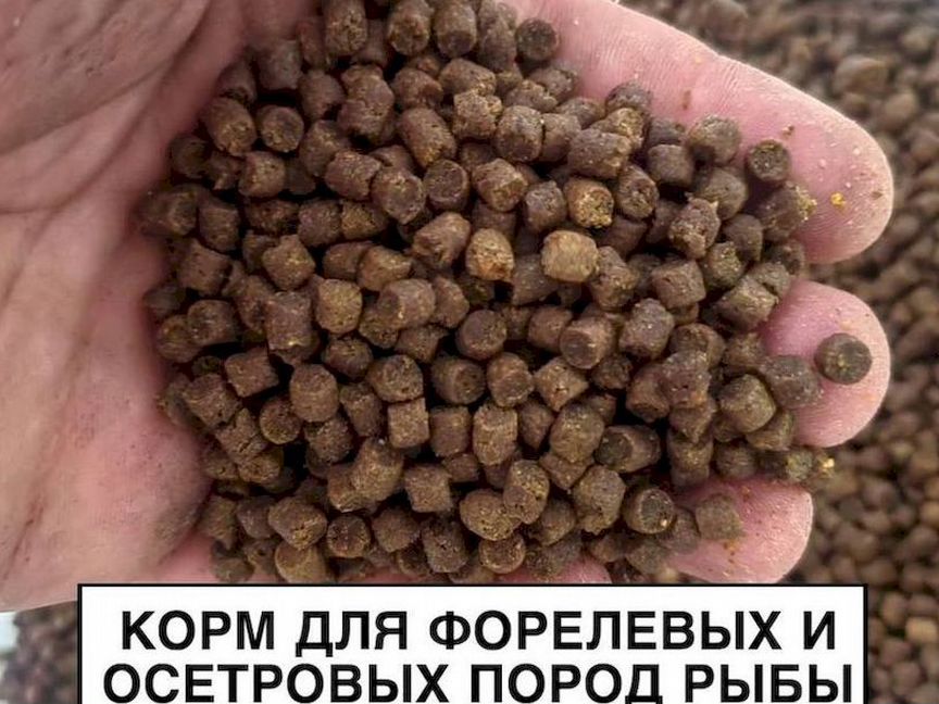 Корм для рыб