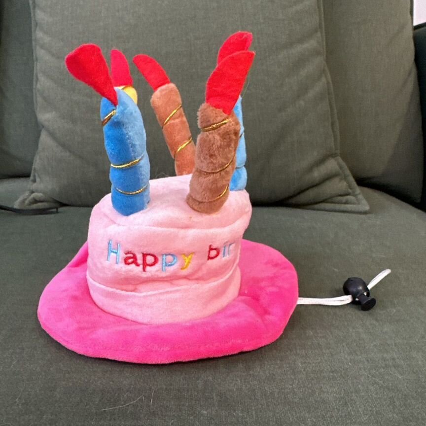 Шапочка для питомца на день рождения