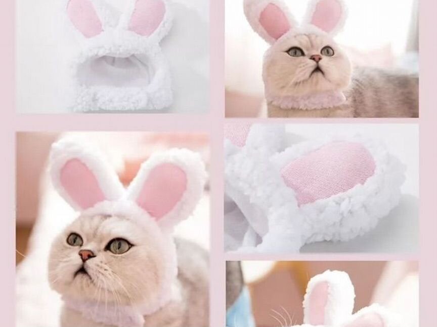 Шапка для кошки Заяц