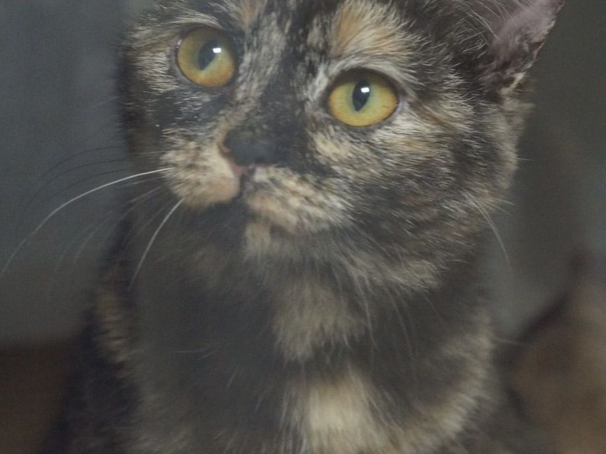 В ожидании семьи