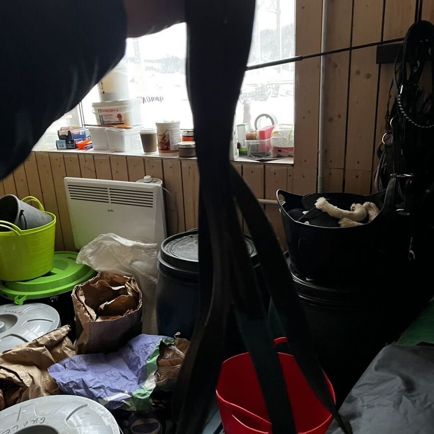 Путлища коричневые