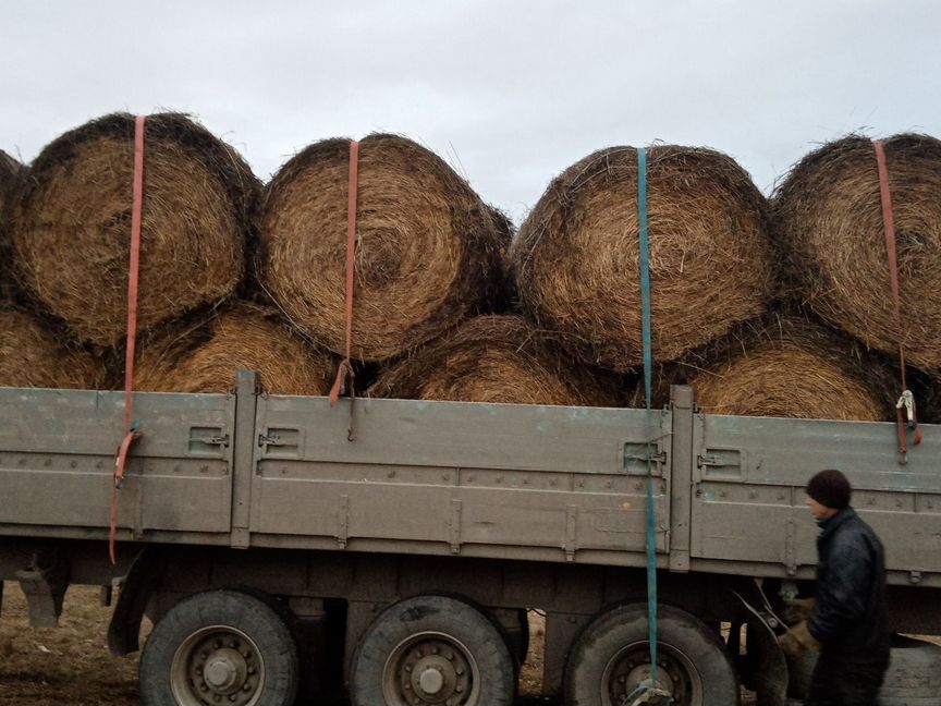 Сено, солома