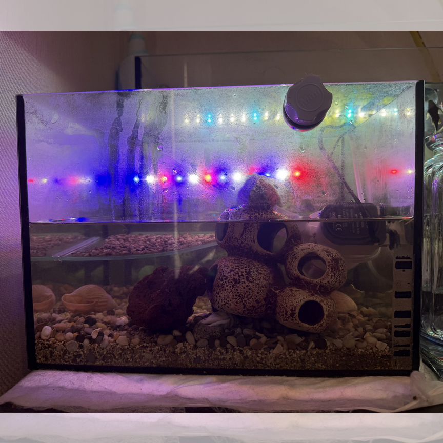 Аквариум с наполнением