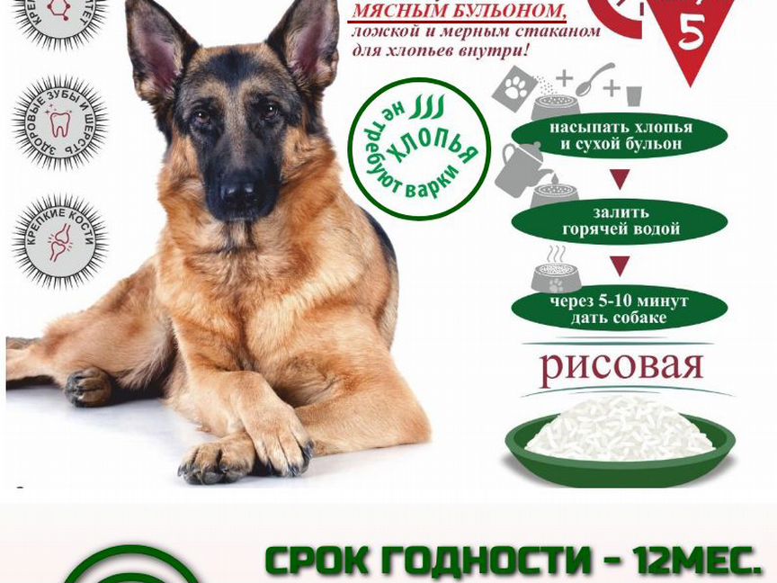 Корм для собак