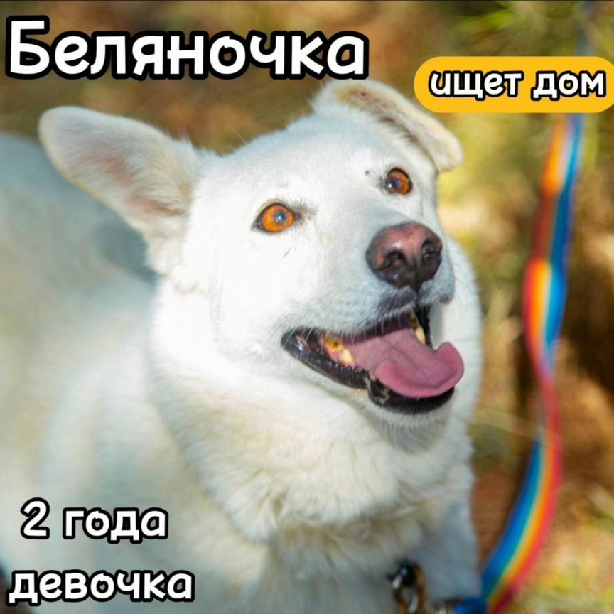 Беляночка надеется на чудо