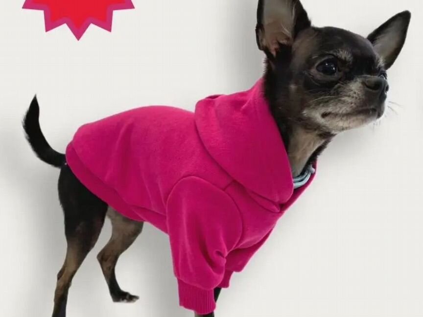 Худи для собак