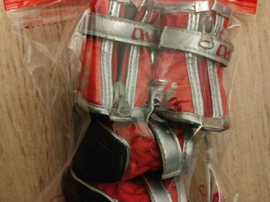 Кроссовки для маленькой собачки