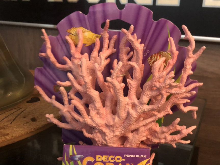 Кораллы для аквариума