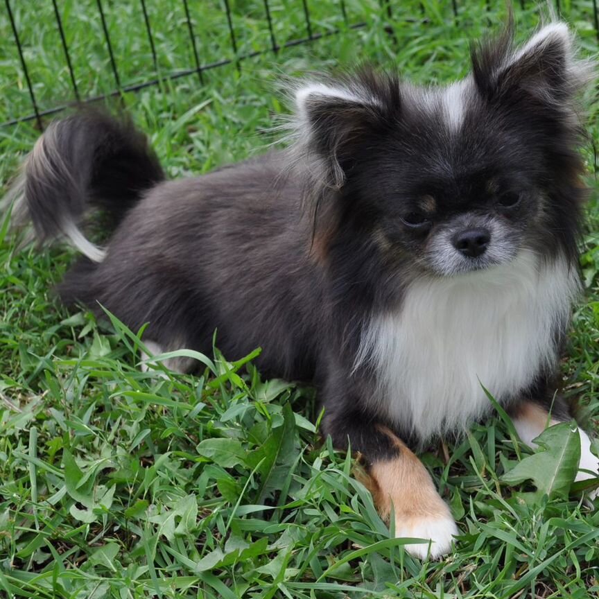 Шикарный подросток мальчик