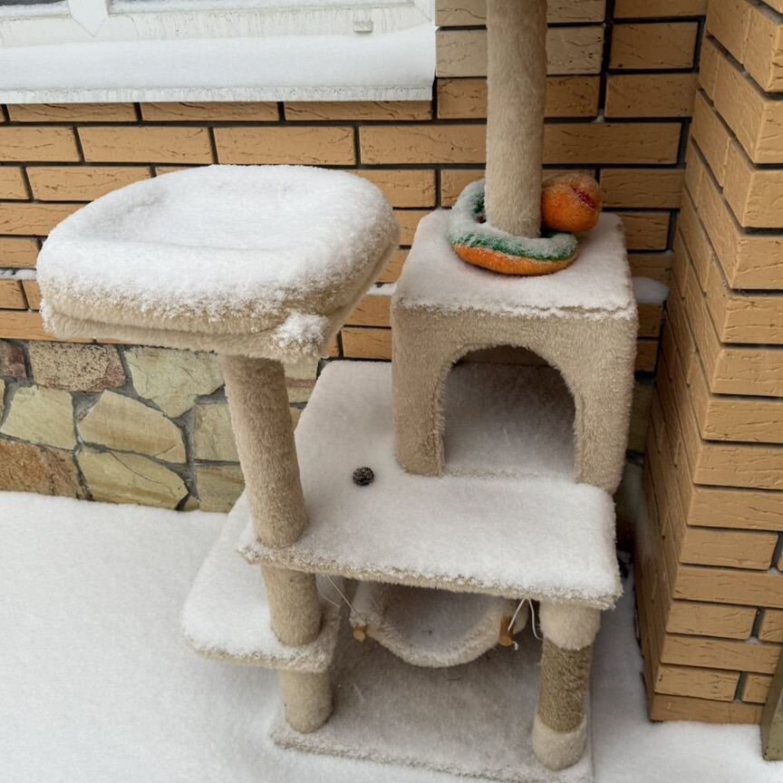 Когтеточка домик для кошки бу