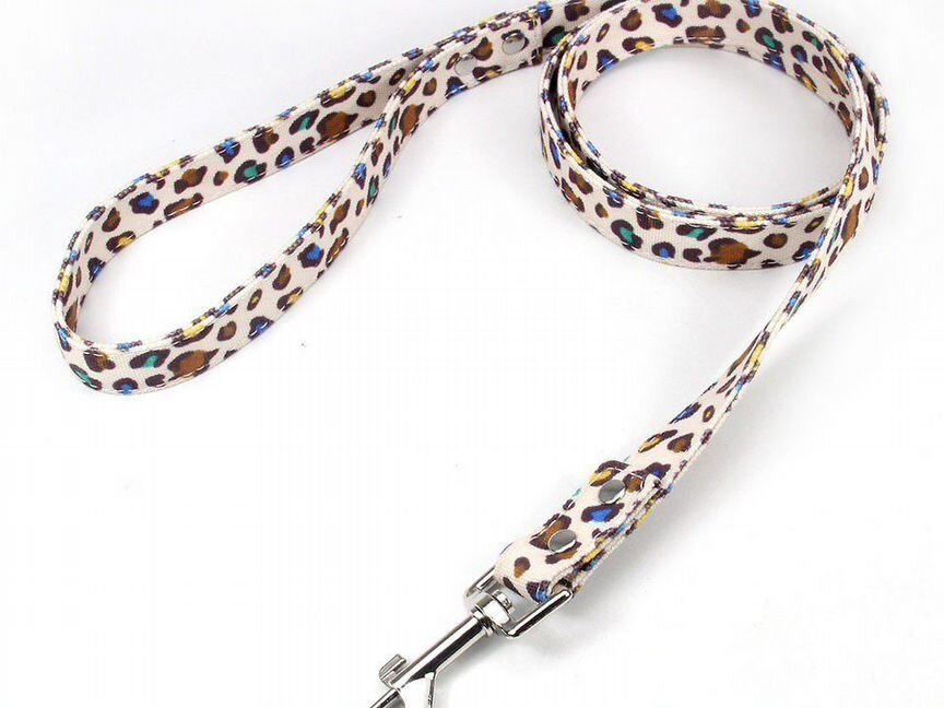 Комплект: Ошейник + поводок для собаки
