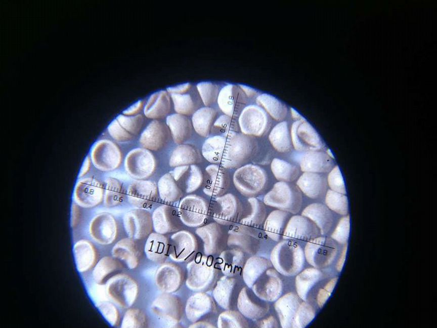 Яйцо рачка Артемия. Циста Артемии. (сухая)