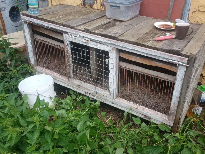 Клетка для кроликов