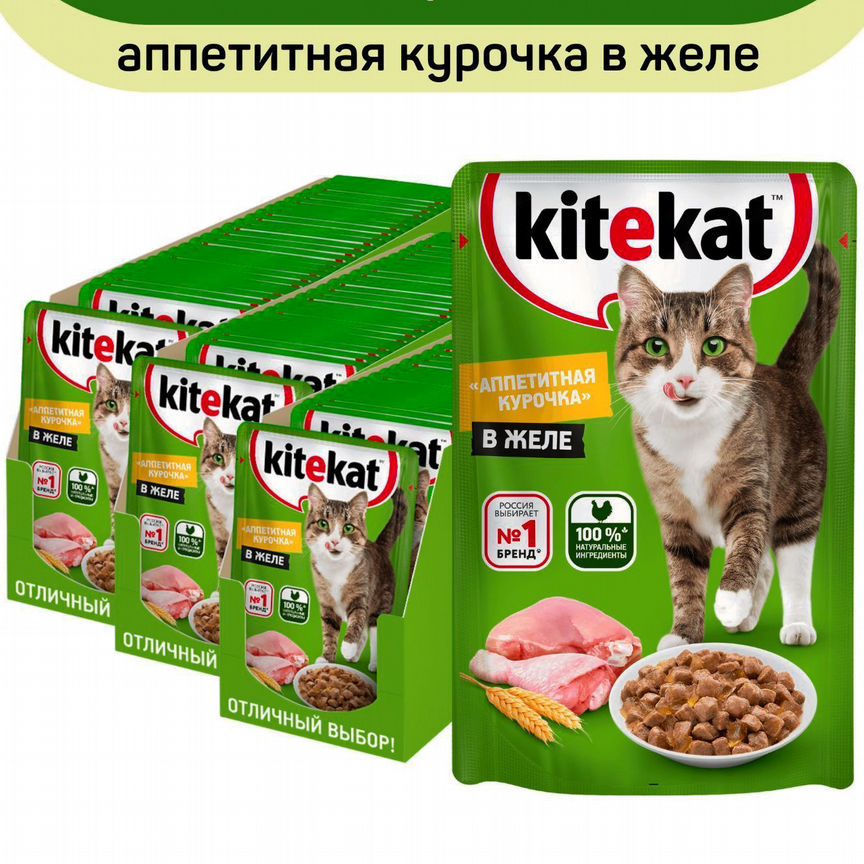 Корм для кошек