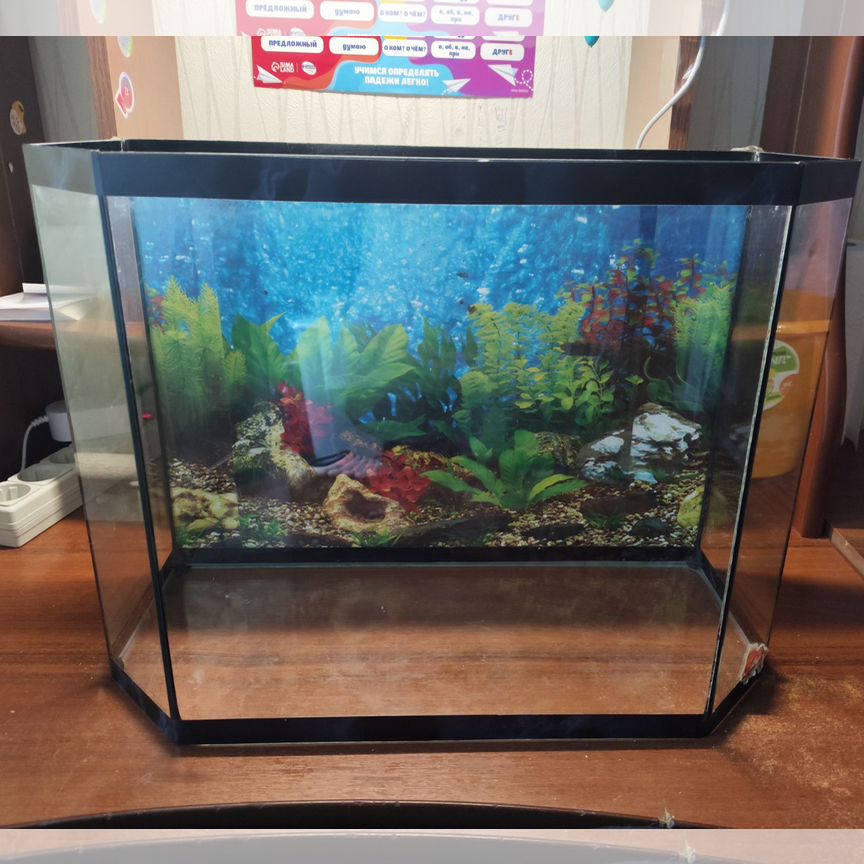 Аквариум