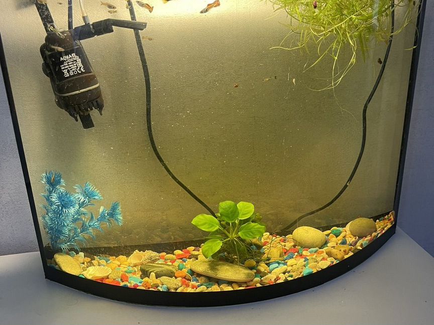 Продам аквариум с рыбками