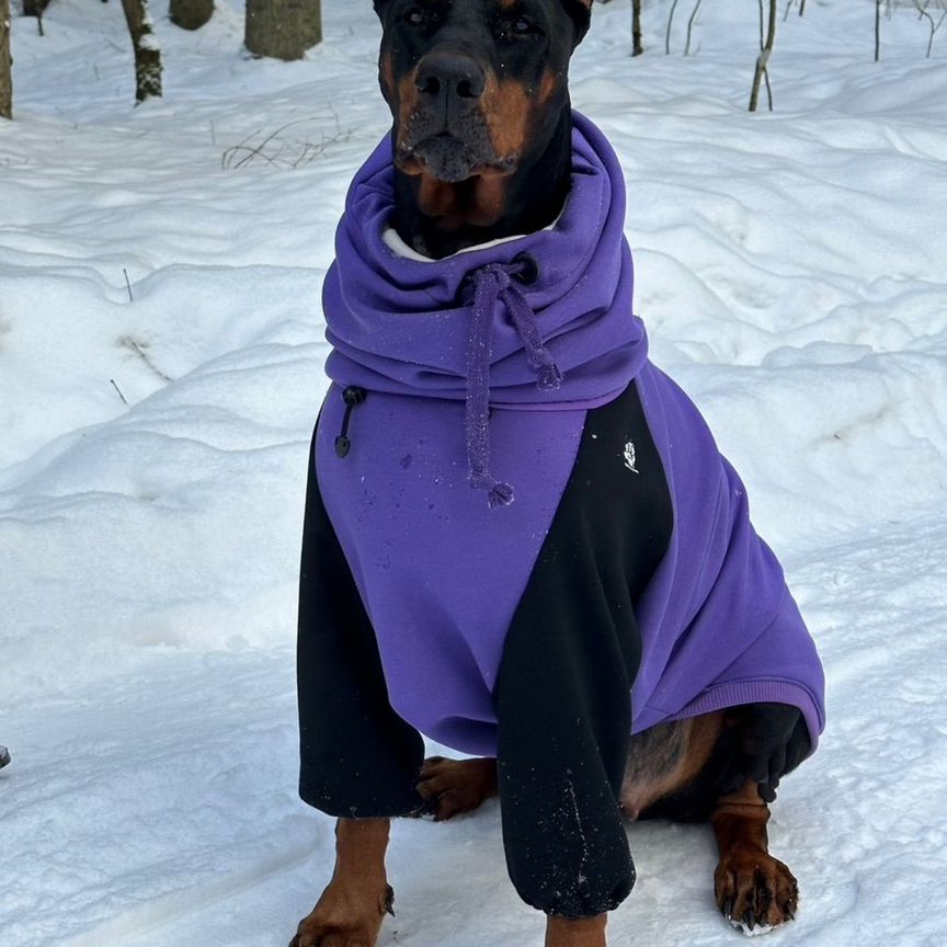 Толстовка для добермана