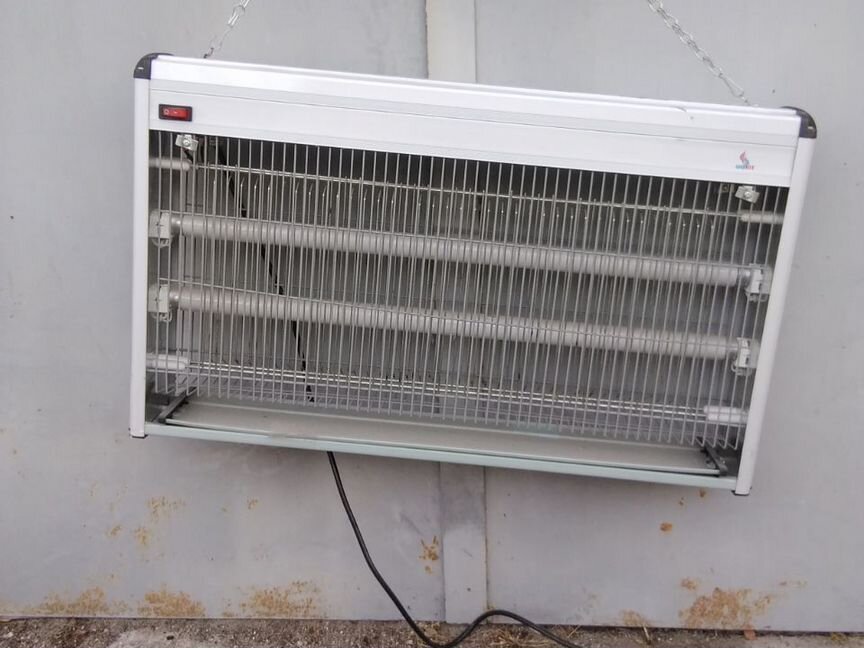 Ловушка для насекомых