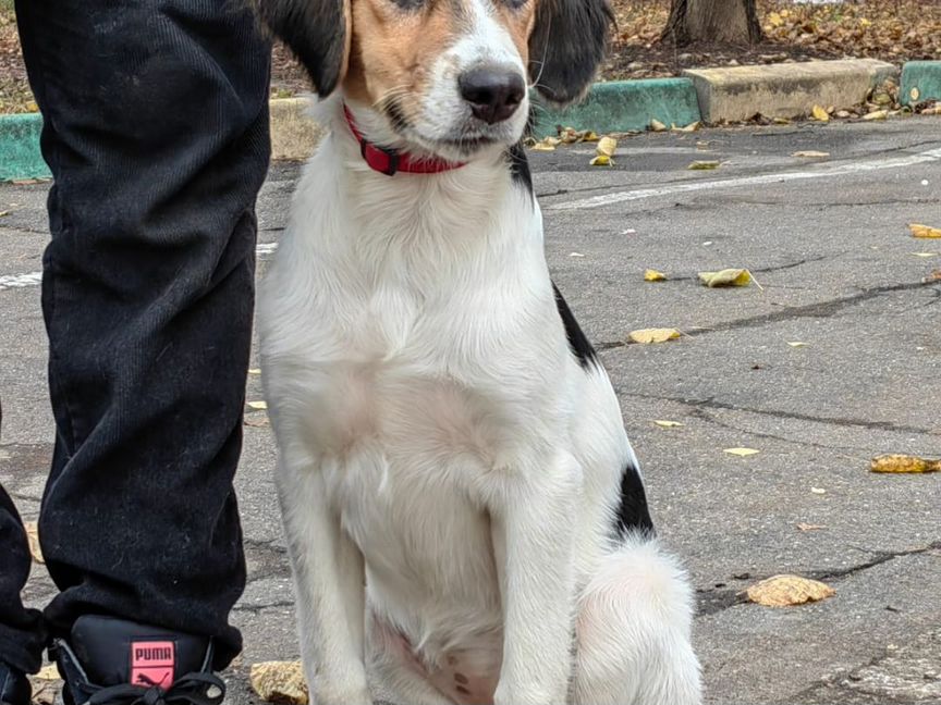 Мэгги нужен дом