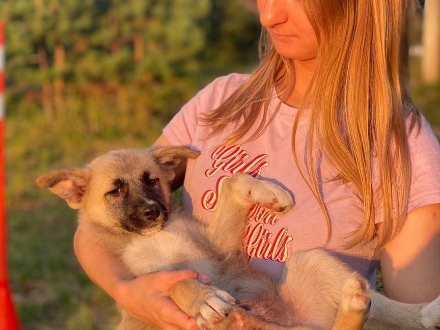 Малыш Фьюжн ищет свой дом