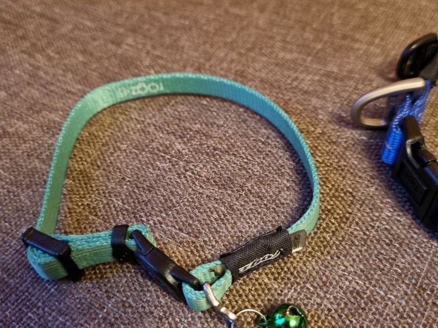 Новые ошейники для кошек