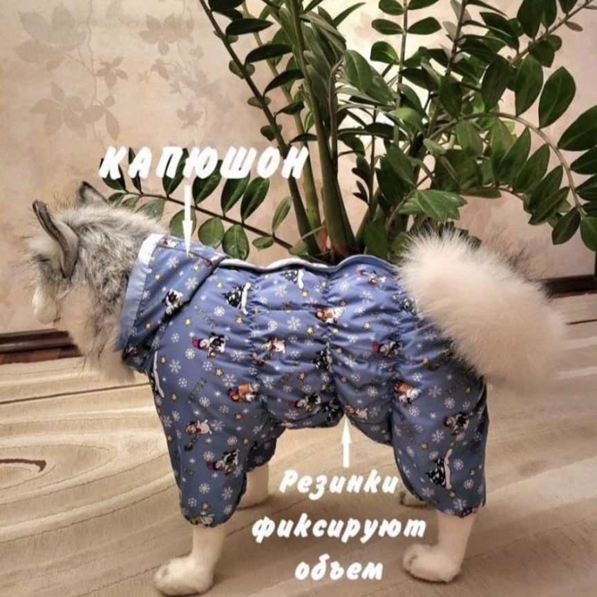 Комбинезон для собаки