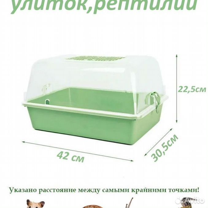 Улитки виноградные с приданным