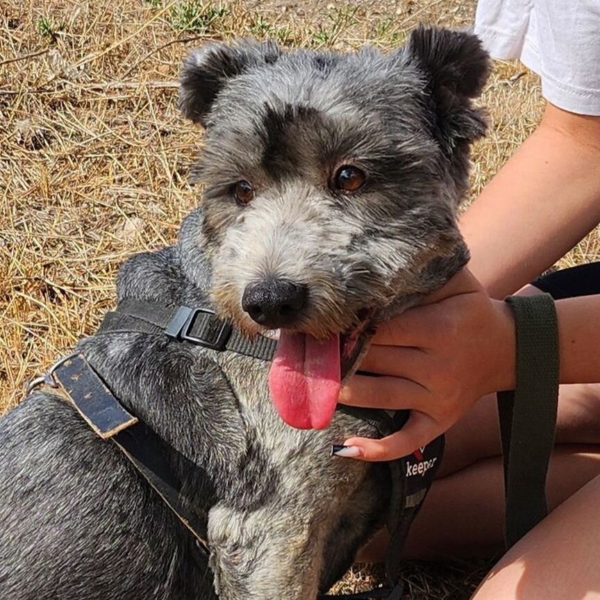 Красивейшая Тэффи ждет тебя