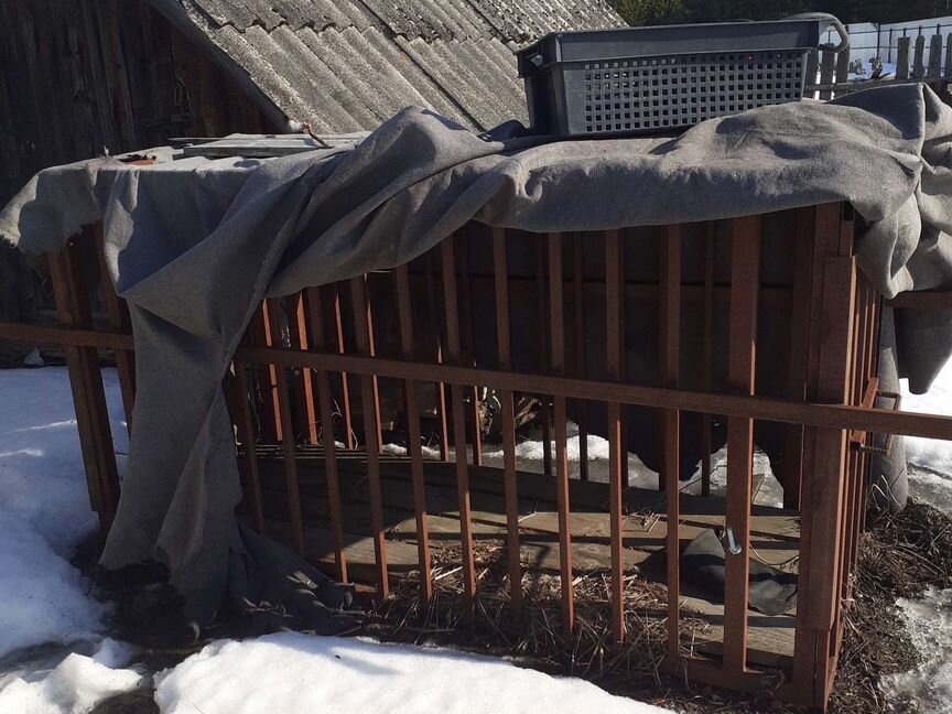 Клетка для транспортировки поросят