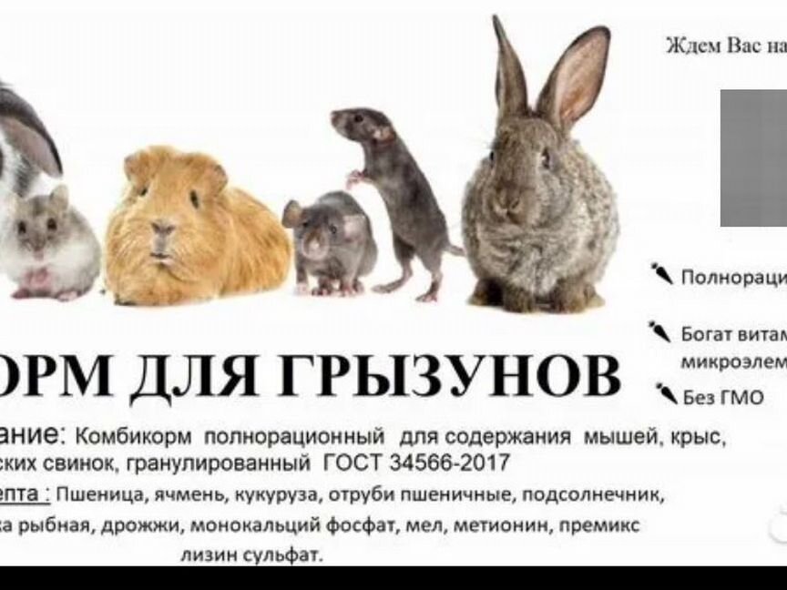 Корм для грызунов