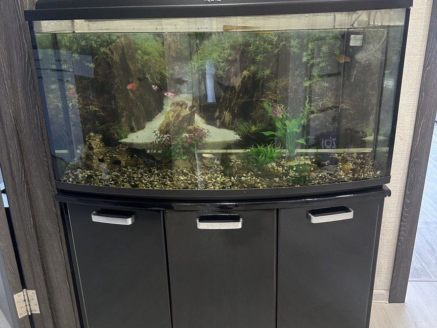 Аквариум 150 литров