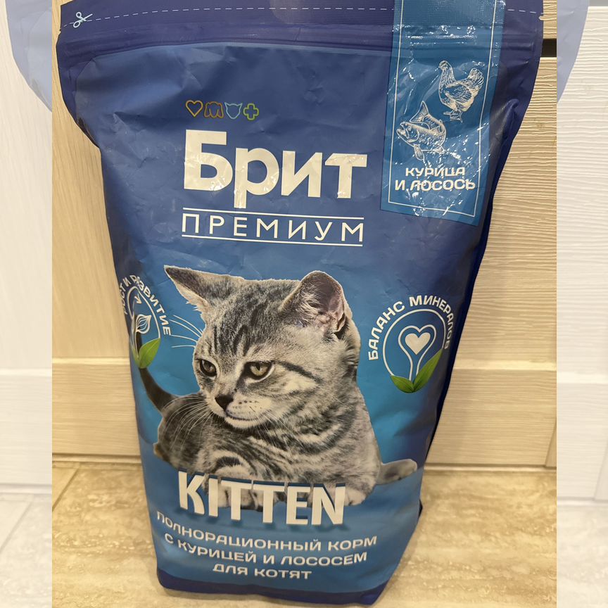 Корм для кошек