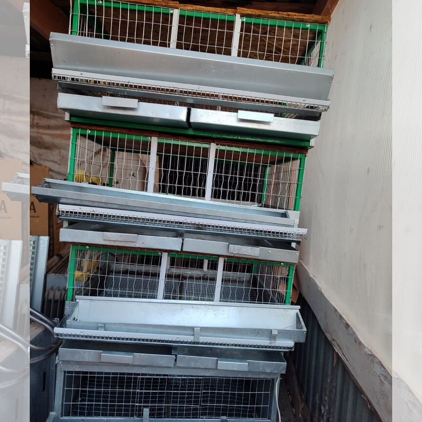 Перепелиные клетки