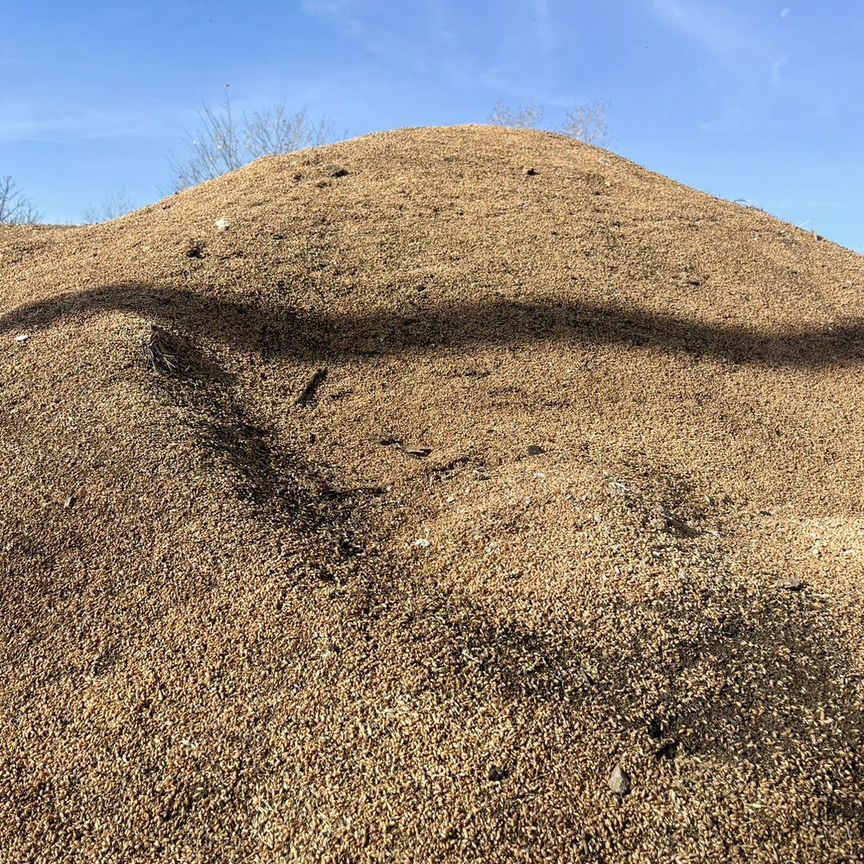 Зерно отходы