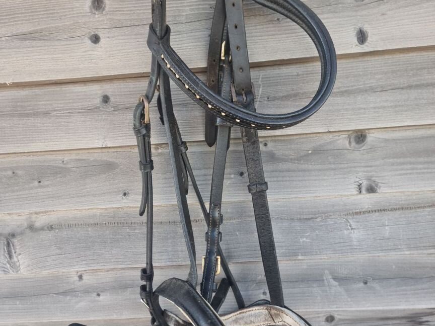 Уздечка для лошади