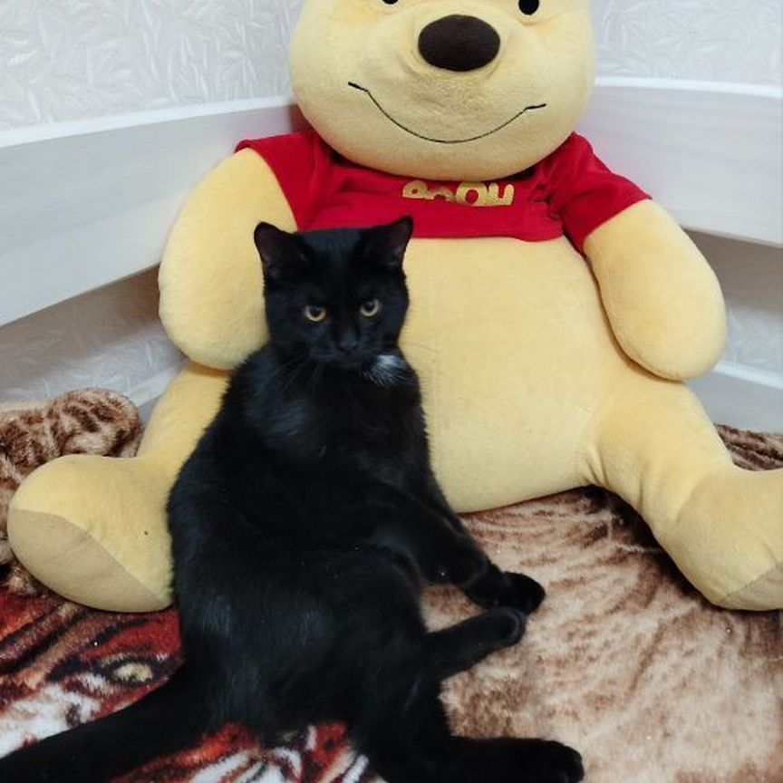 Подросток мальчик